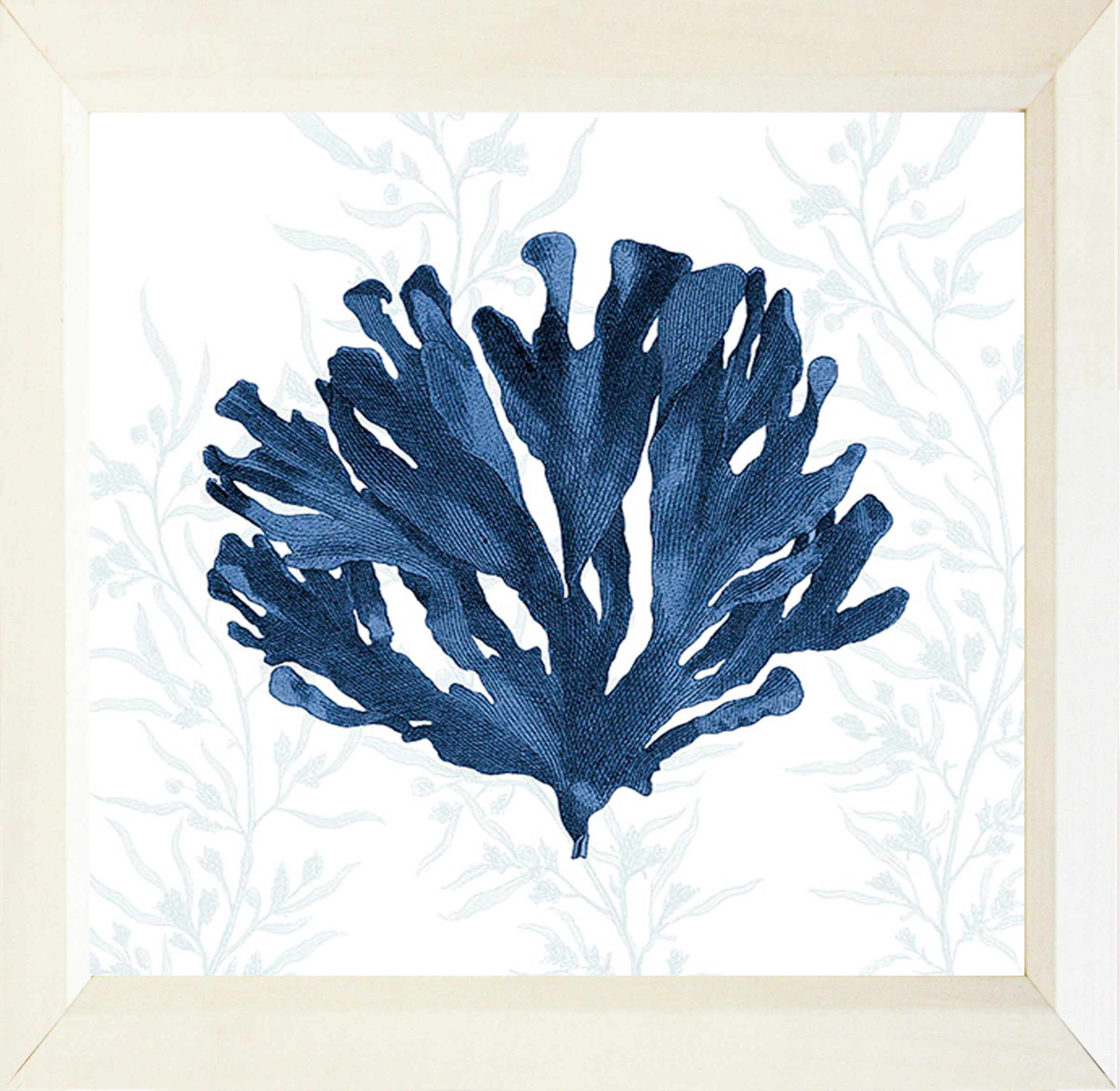 Highland Dunes Decorative Navy Coral II - Picture Frame Graphic Art ...