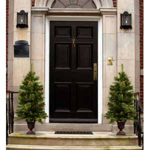 NACH Chelsea Wall Mounted Mailbox & Reviews | Wayfair