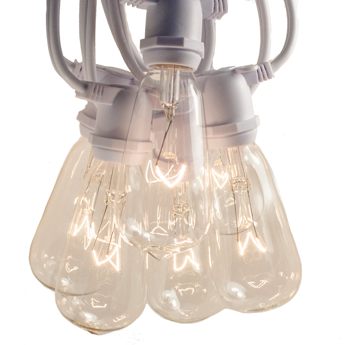 Arlmont & Co. Commercial Edison String Lights 50' Outdoor 40 - Bulb ...