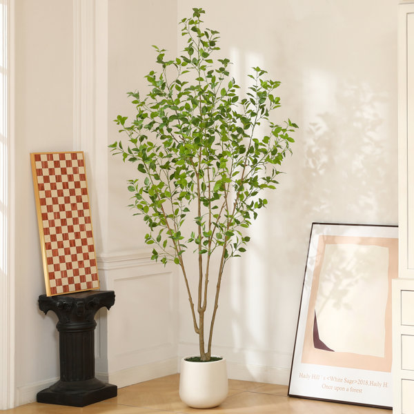 Primrue Adcock Faux Ficus Tree with Round White Planter, Pre Potted ...