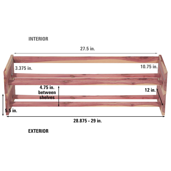 Rebrilliant 2-Tier 6 Pair Stackable Shoe Rack & Reviews | Wayfair