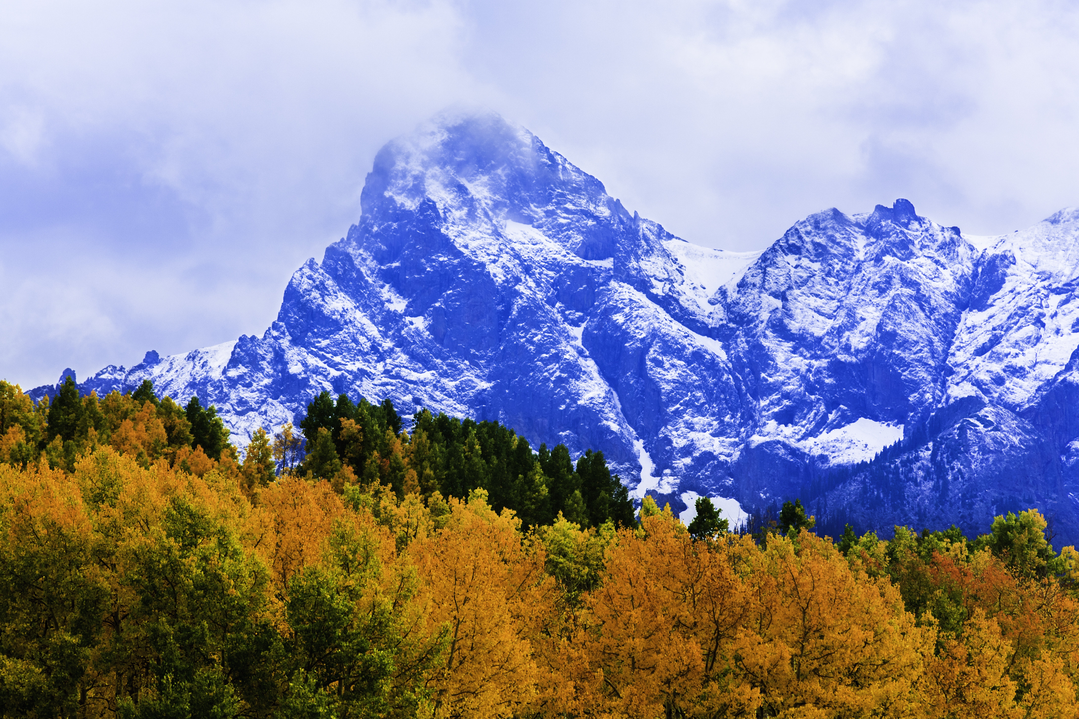 Millwood Pines Colorado Autumn Foliage by Dszc | Wayfair