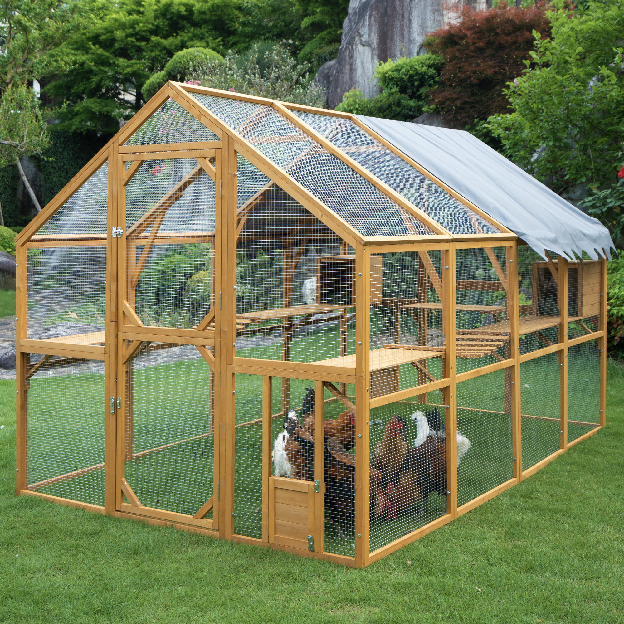 large chicken run