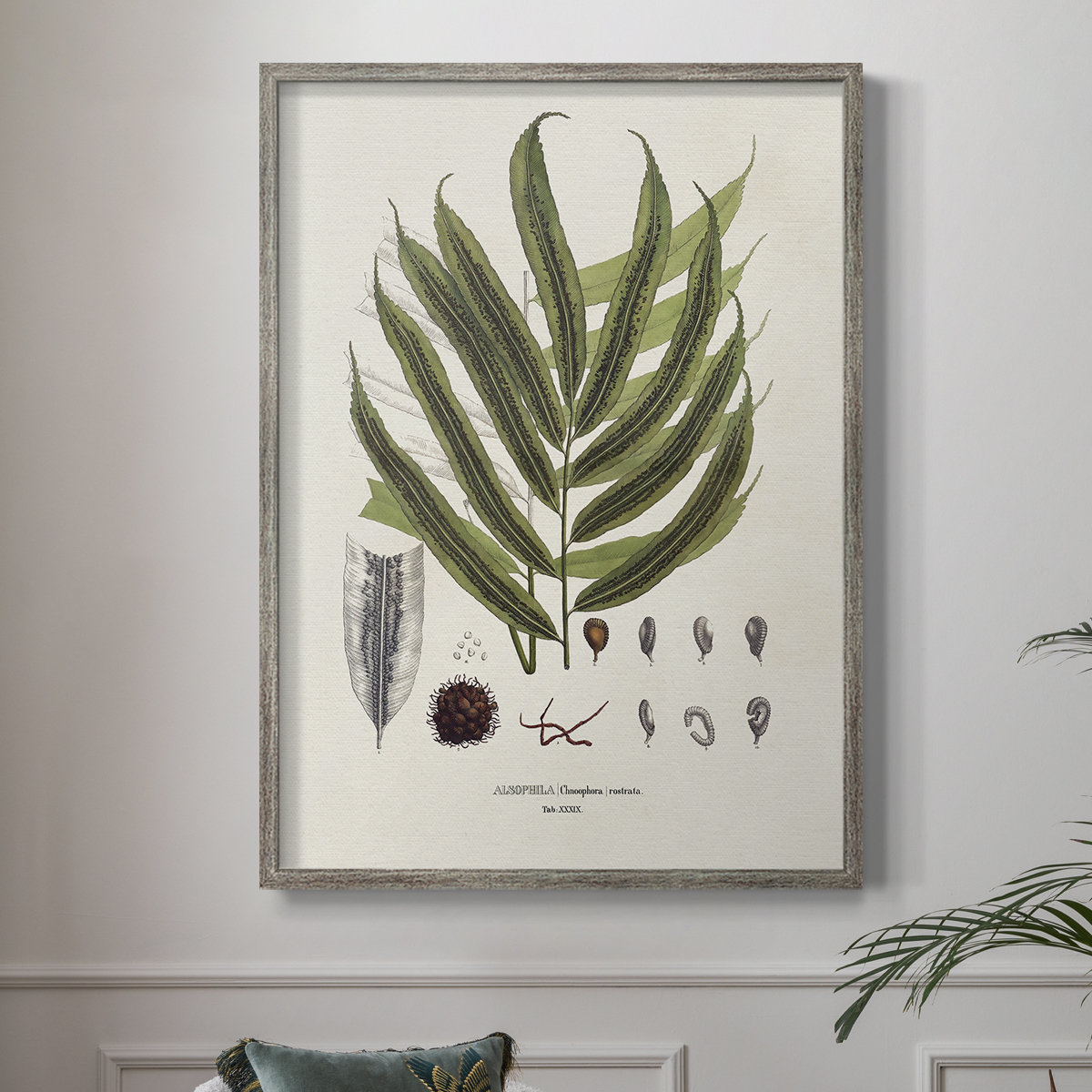 Lark Manor™ Botanical Society Ferns II Framed Print - Solid Wood | Wayfair