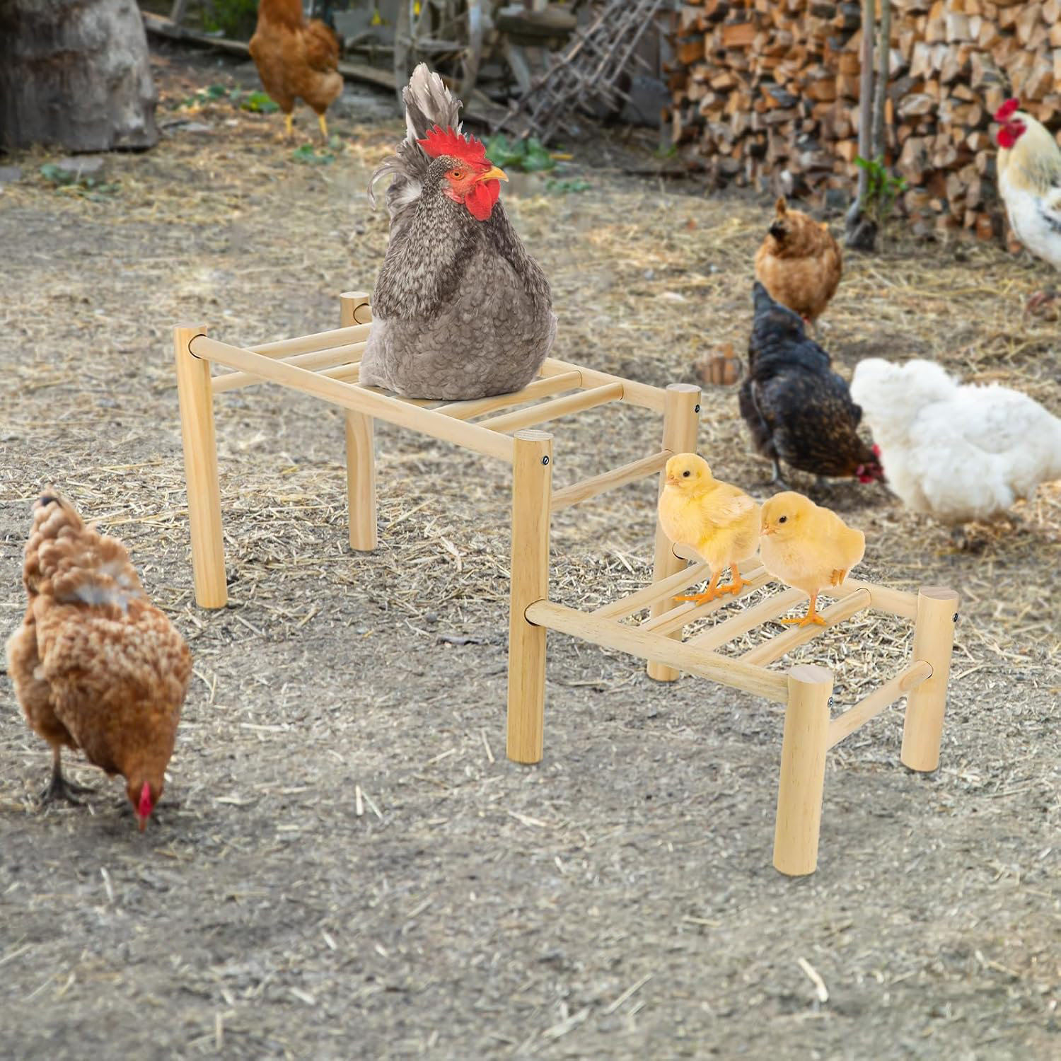 Archie & Oscar™ Chicken Perch Chicken Roosting Ladder For Chicken Coop ...