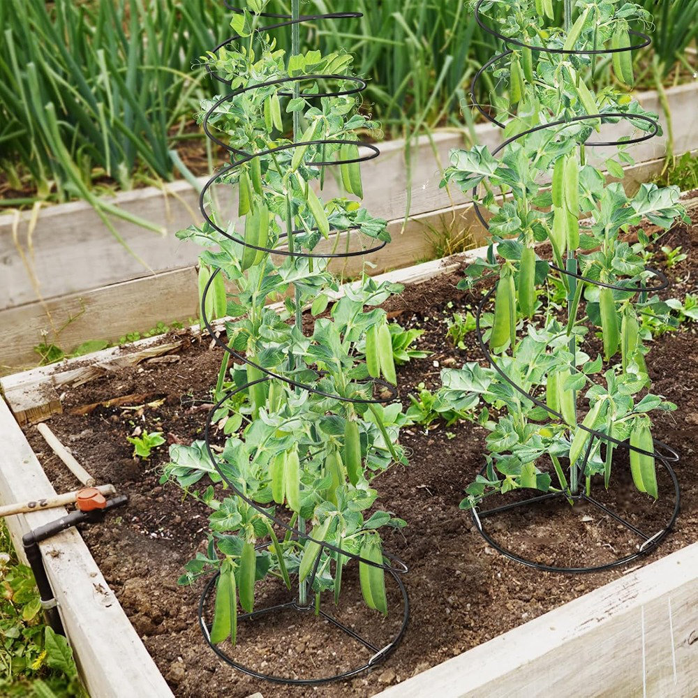 Arlmont & Co. Pea Trellis Green Bean Trellis For Garden - 2 Pack Sugar ...