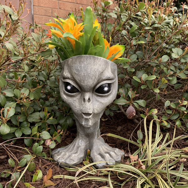 HomeStyles Ancient Alien 2 Piece Sister Zoe and Brother Roswell Muggly ...