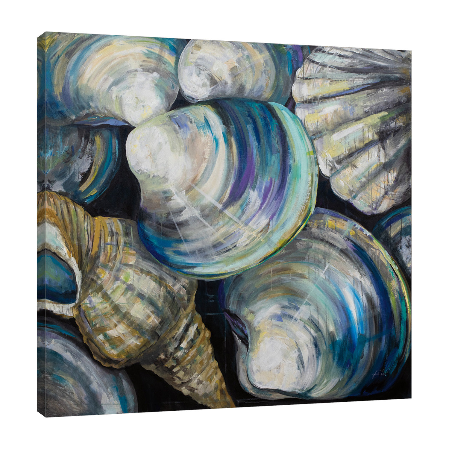 Jaxson Rea Key West Shells by Jeanette Vertentes - Wrapped Canvas ...
