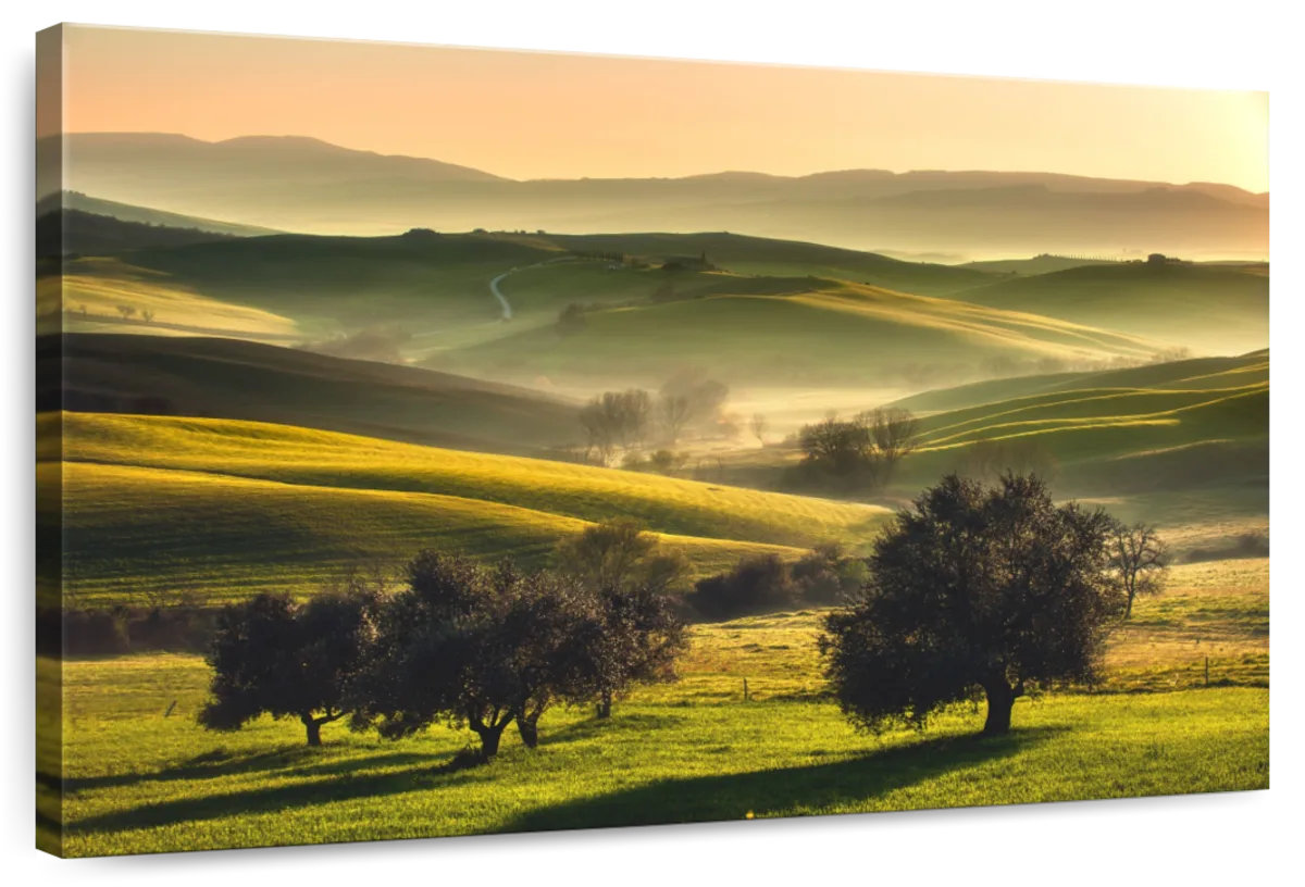 Elephant Stock Foggy Tuscan Field | Wayfair