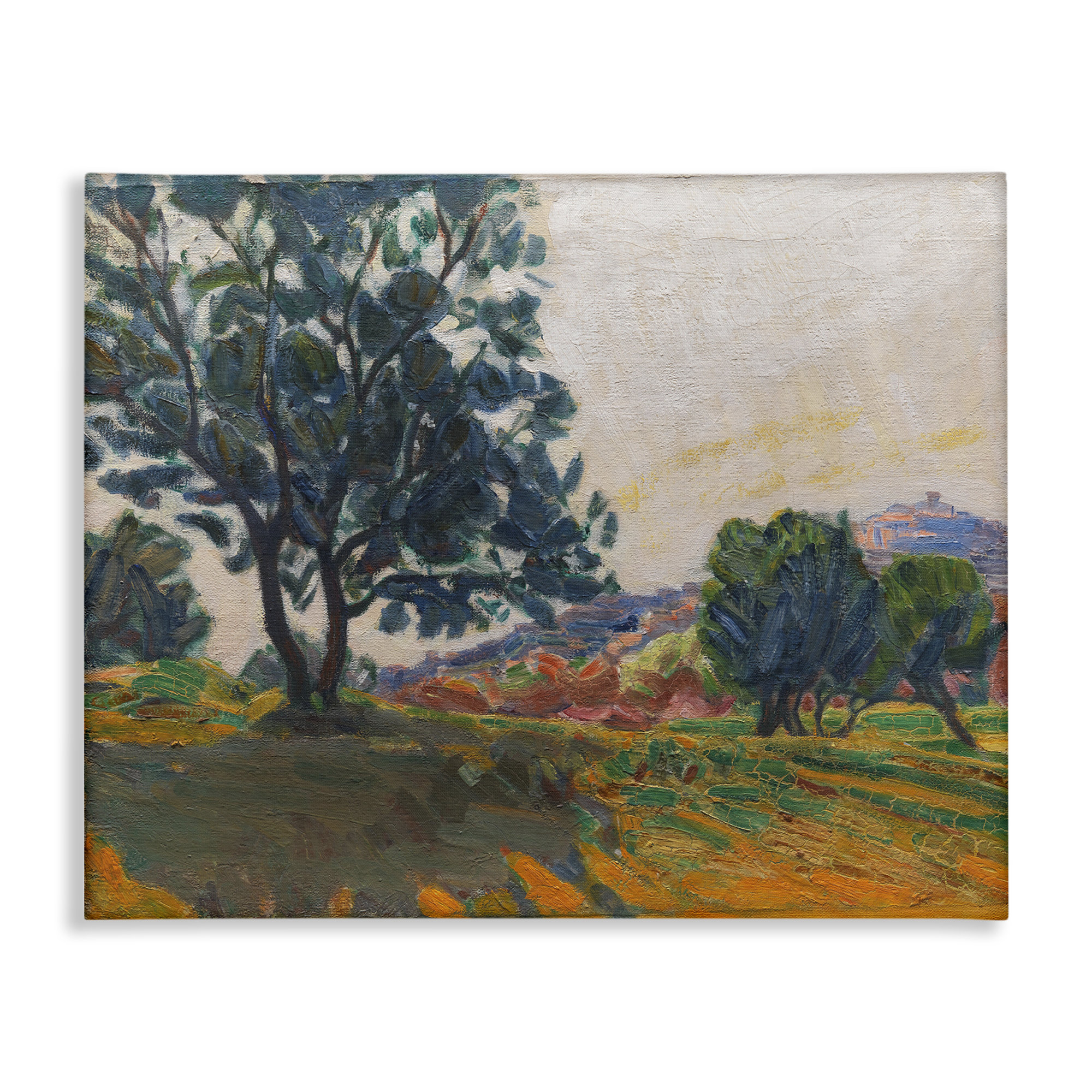 Winston Porter Tree in Shadow Canvas Wall Art by Niels Larsen Stevns ...