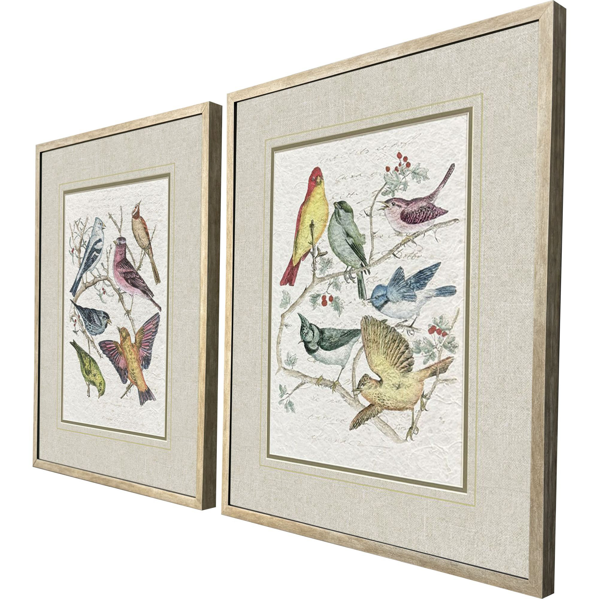 Paragon Bird Variety Framed Art | Perigold