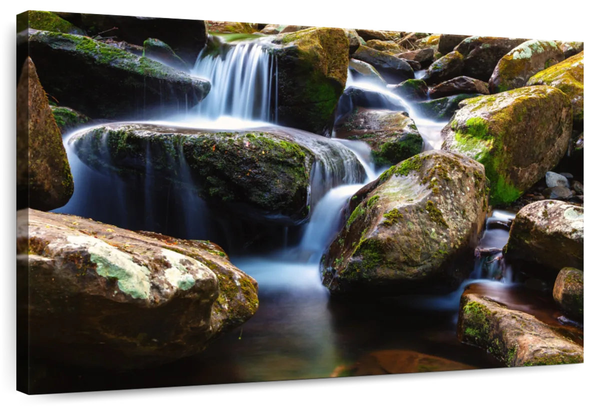 Bungalow Rose Kerrick Roaring Fork Stream | Wayfair
