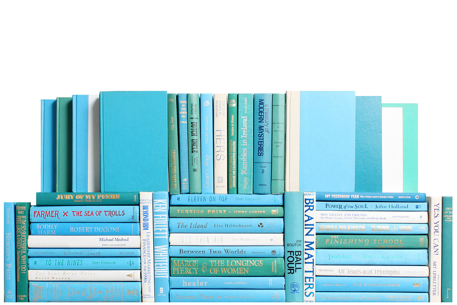 Booth & Williams Modern Ocean Book Wall & Reviews | Perigold