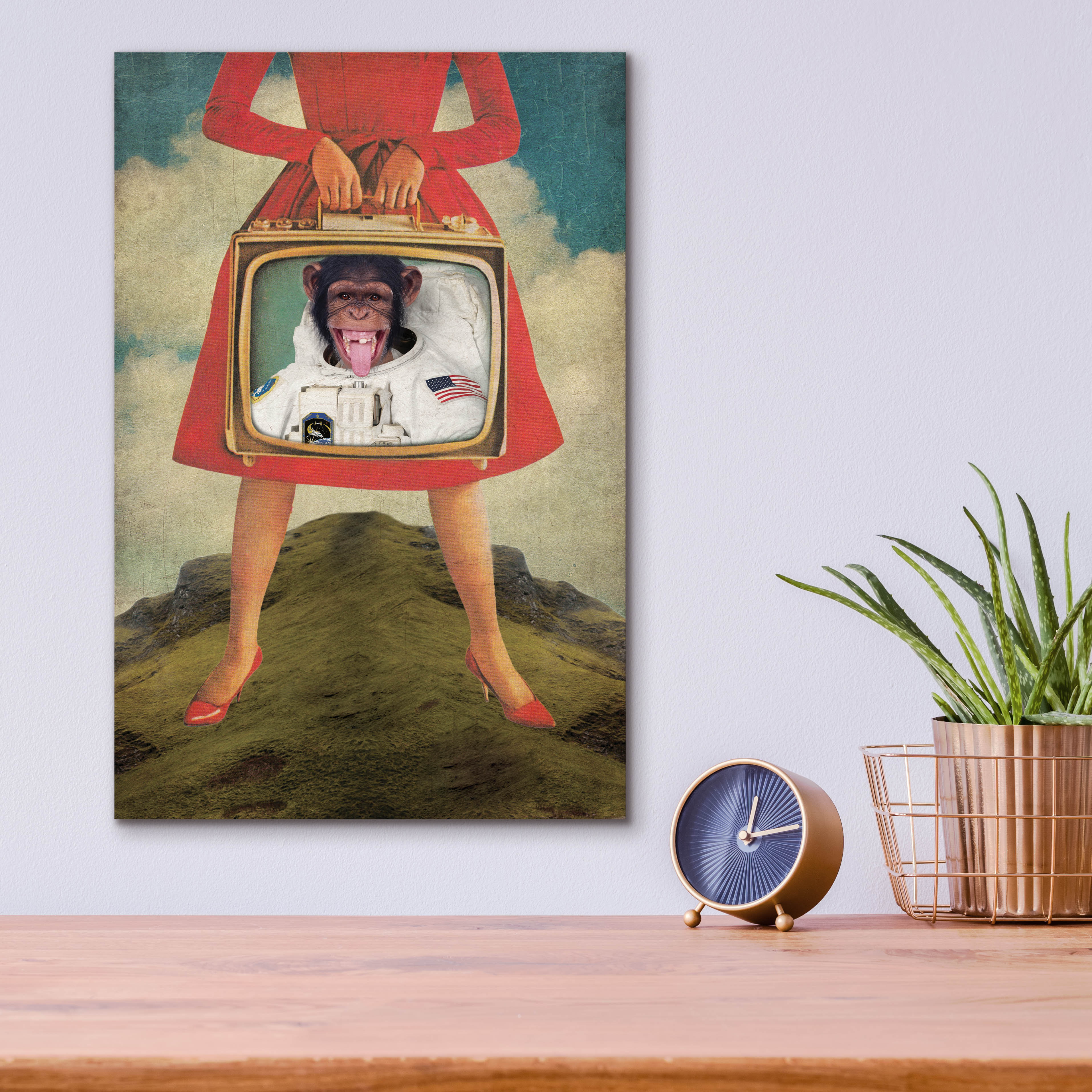 Trinx Monkey See Monkey Do' by Elo Marc, Acrylic Glass Wall Art ...