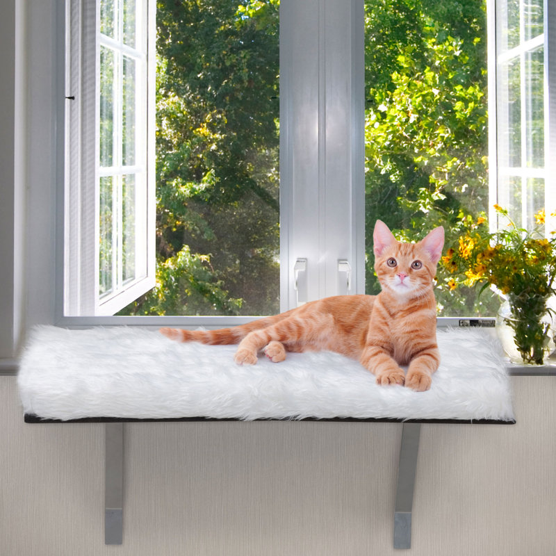 Tucker Murphy Pet™ Chrystene Cat Window Perch Bed, Removable Cushion ...