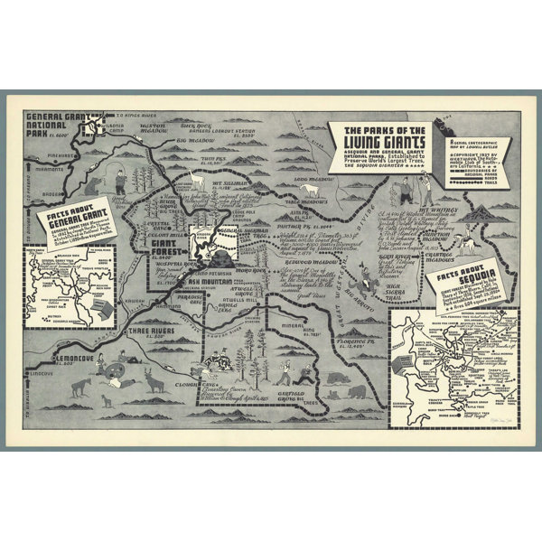 17 Stories General Grant National Park Map On Canvas by Stellar Design ...