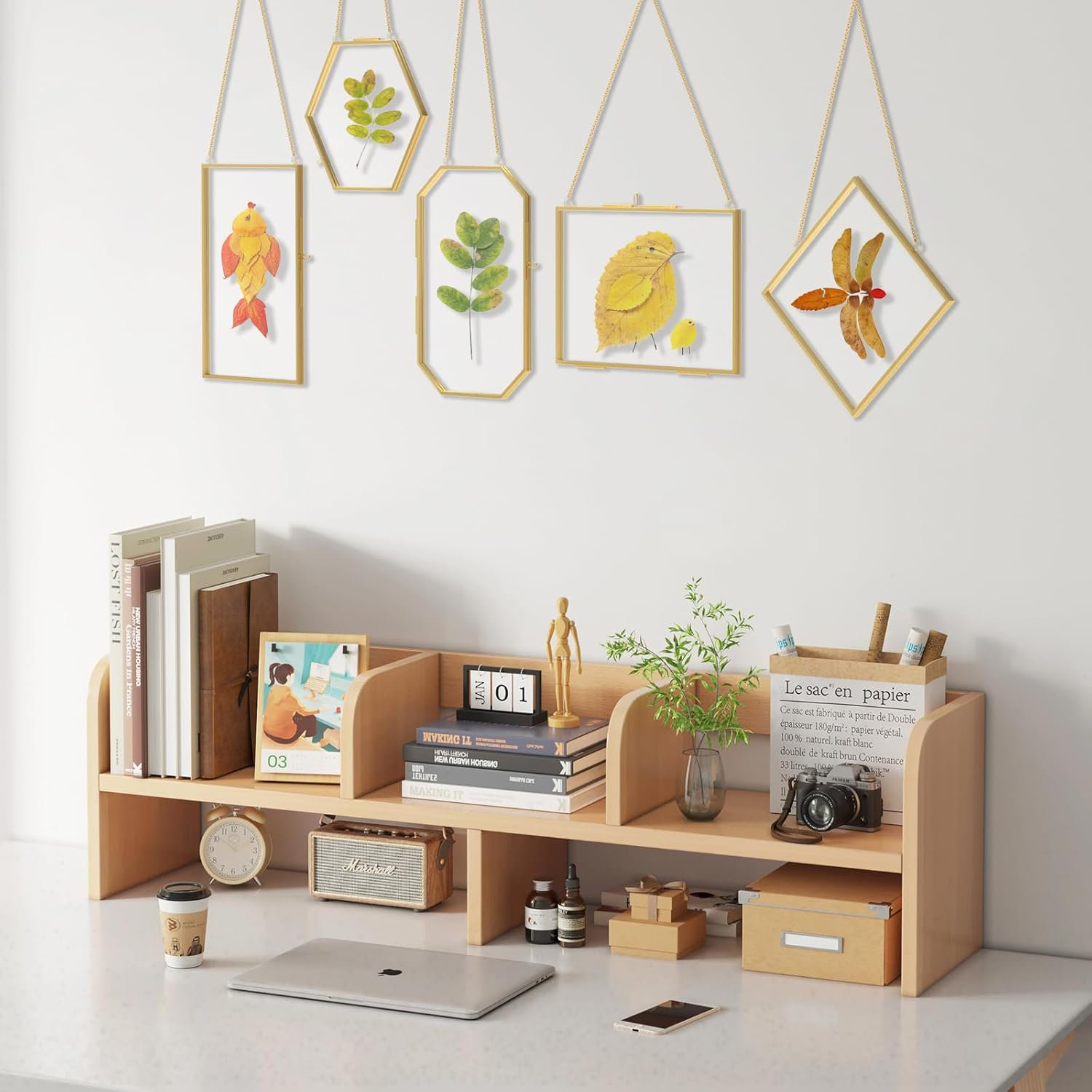 Mercer41 5 Pcs Pressed Flower Frames With Tweezers, Wall Hanging ...
