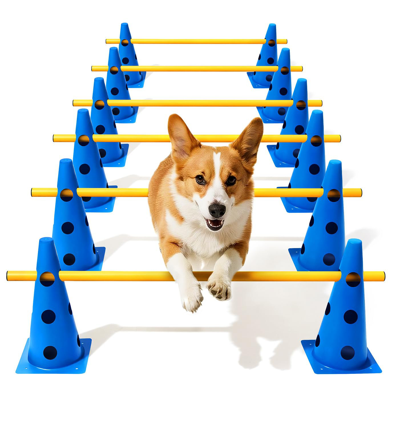 VIKICHER Dog Agility Course Backyard Set, Dog Agility Hurdle Cone Set ...