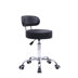 Inbox Zero Backed Adjustable Height Ergonomic Lab Stool with Wheels ...