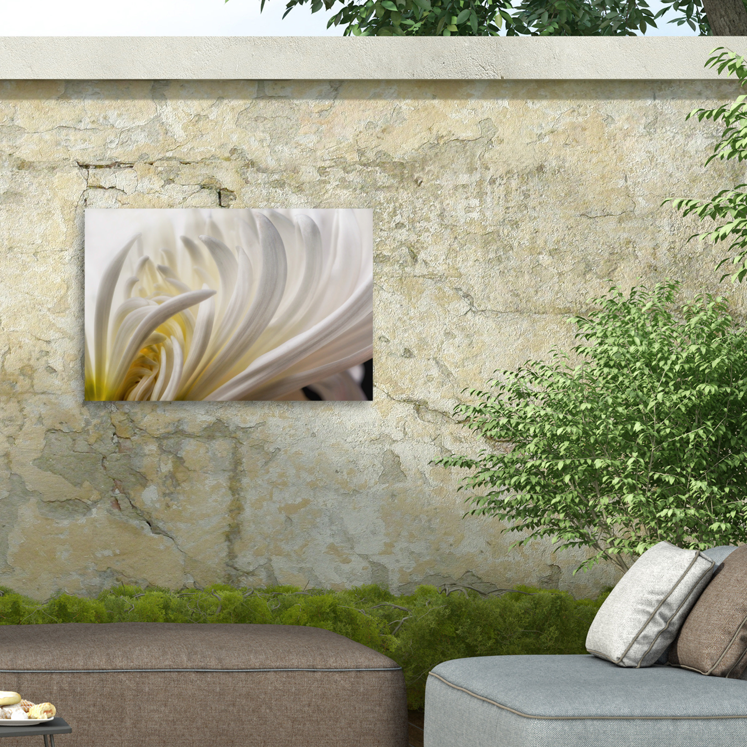 Hokku Designs David Rothstein Dahlia 5 Outdoor Canvas | Wayfair