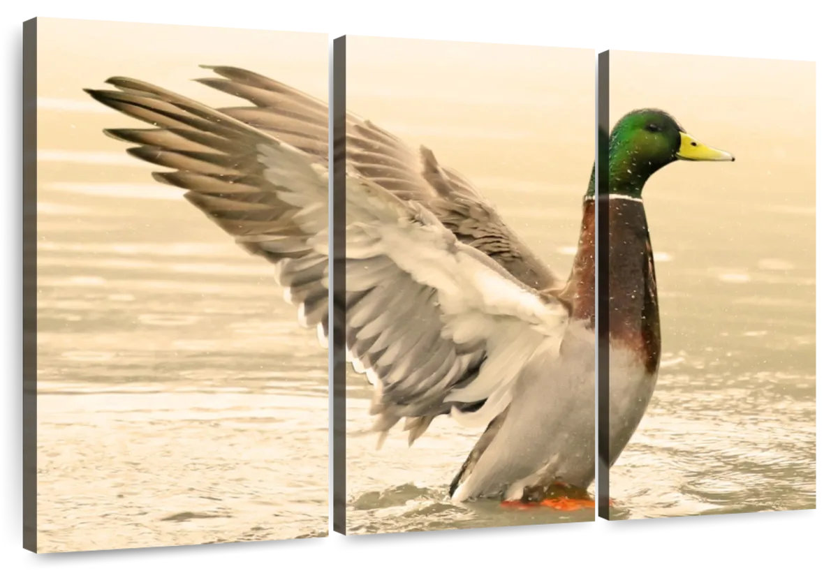 Ebern Designs Brampt Majestic Mallard Duck | Wayfair