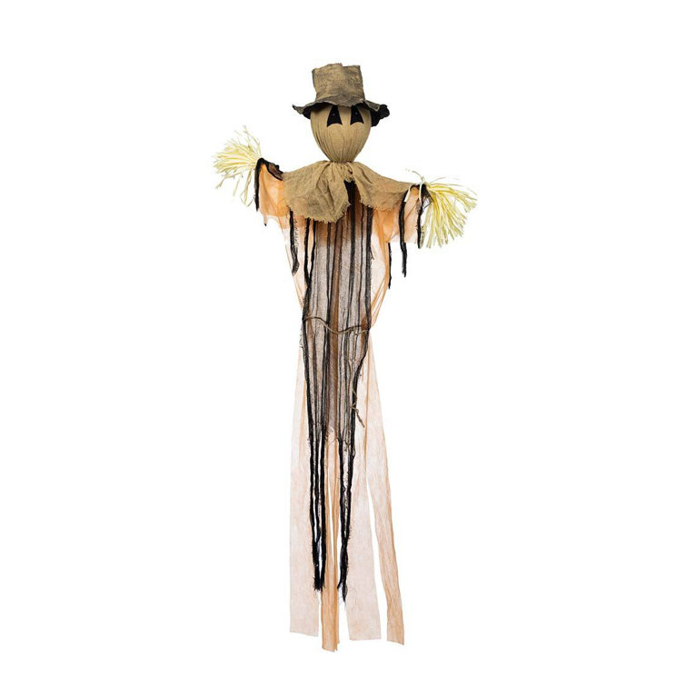 The Holiday Aisle® Spooky Scarecrow Lighted Display | Wayfair