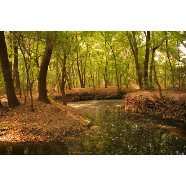 Union Rustic Stream In A Forest by Destonian - Wrapped Canvas ...