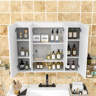Winston Porter Modern Wall-Mounted Bathroom Cabinet with 5 Adjustable ...