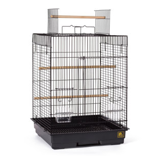 Table Top Bird Cages You'll Love | Wayfair