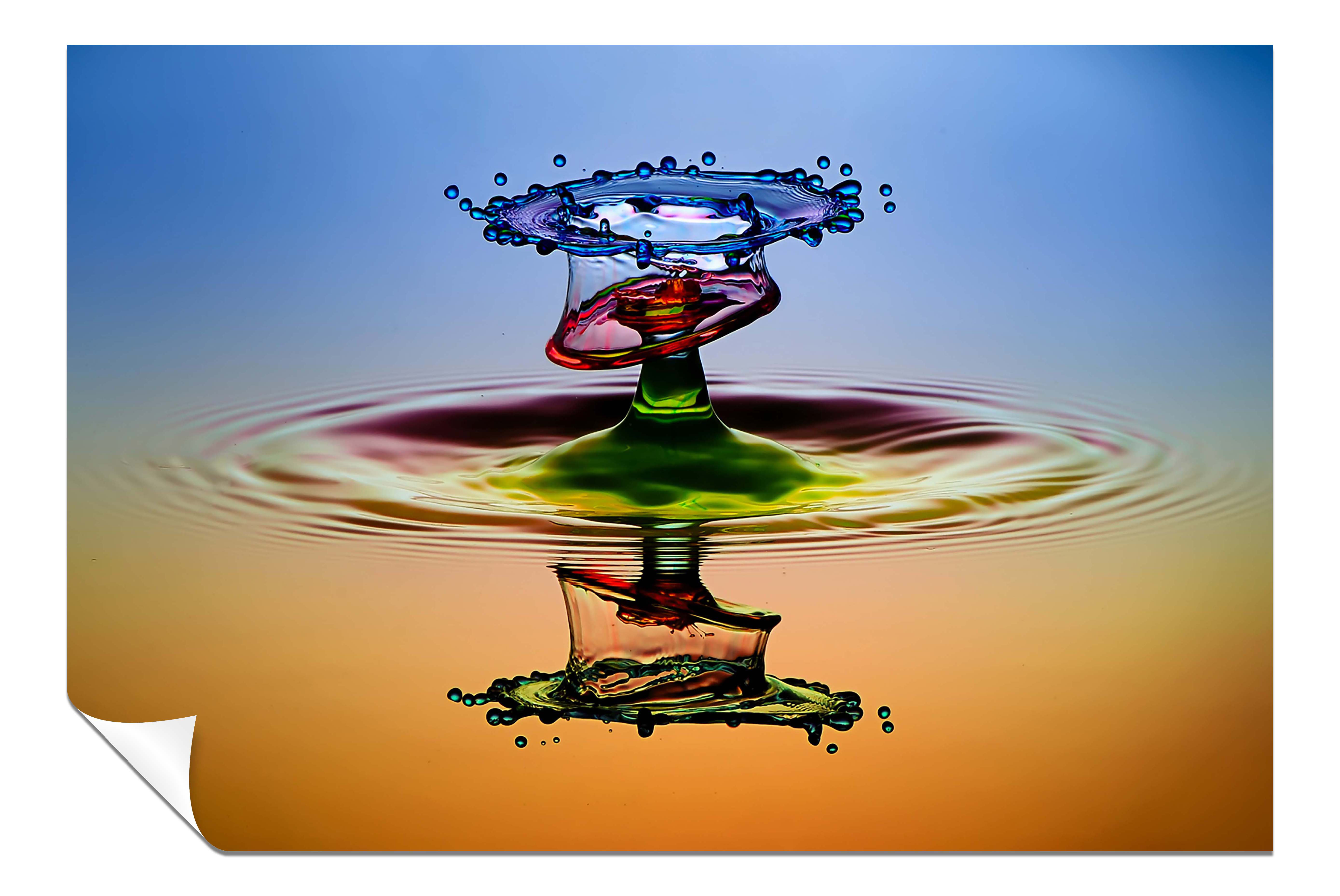 Panther Print Fine Art Prints Colorful Water Splash Reflection Artistic ...