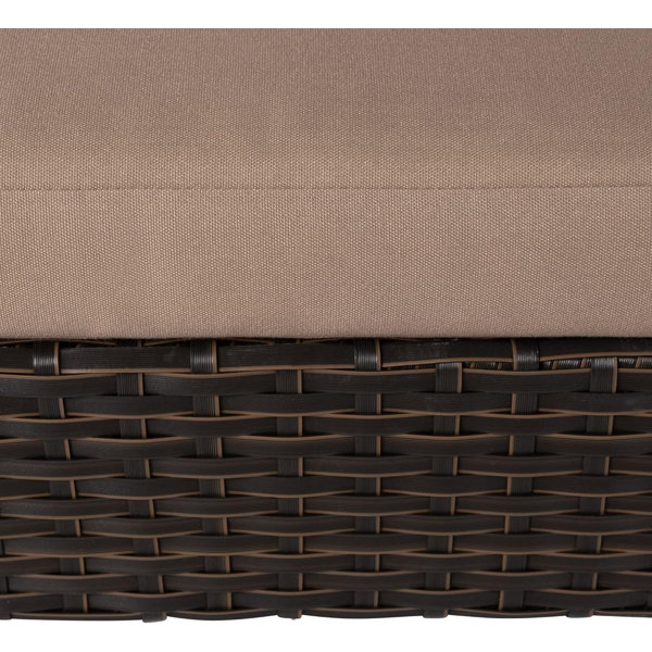 Archie & Oscar™ Rattan Wicker Indoor Outdoor Cabana Raised Pet Bed ...