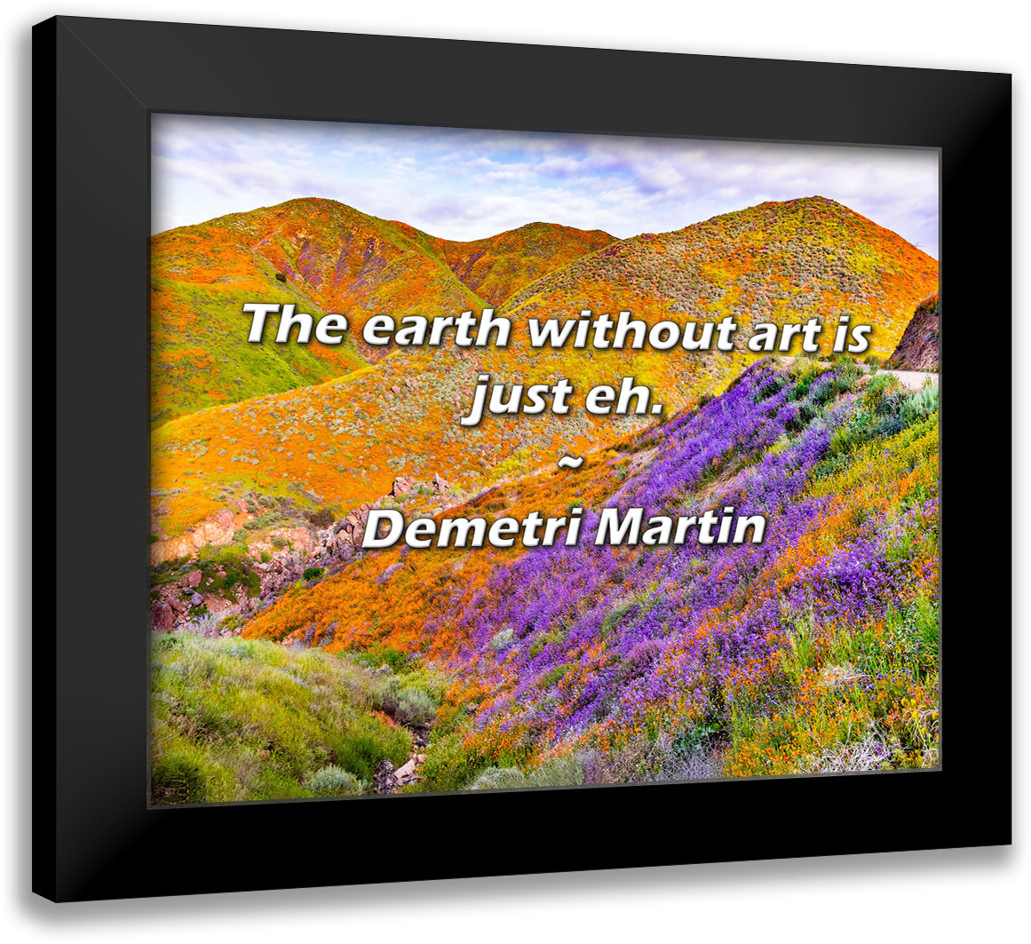 Latitude Run® Demetri Martin Quote: The earth without art is just eh ...