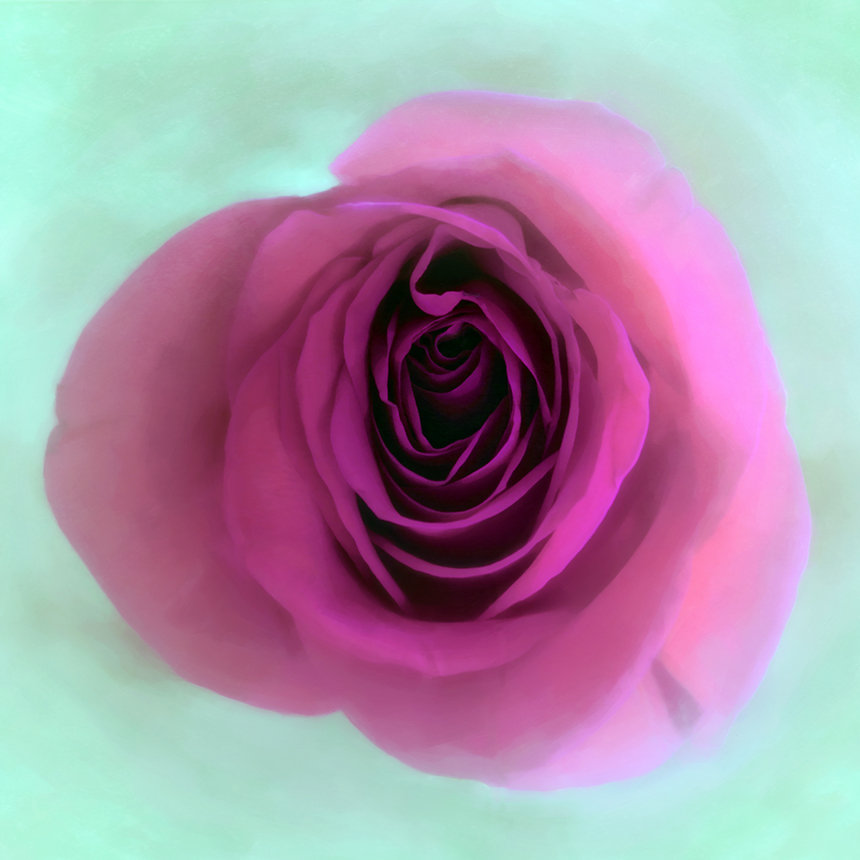 The Finishing Touch "Rose" by Hal Halli Painting Print on Wrapped ...