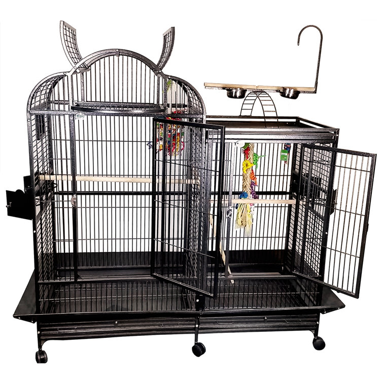 Tucker Murphy Pet™ Chalyce 61'' Iron Play Top Floor Bird Cage with ...