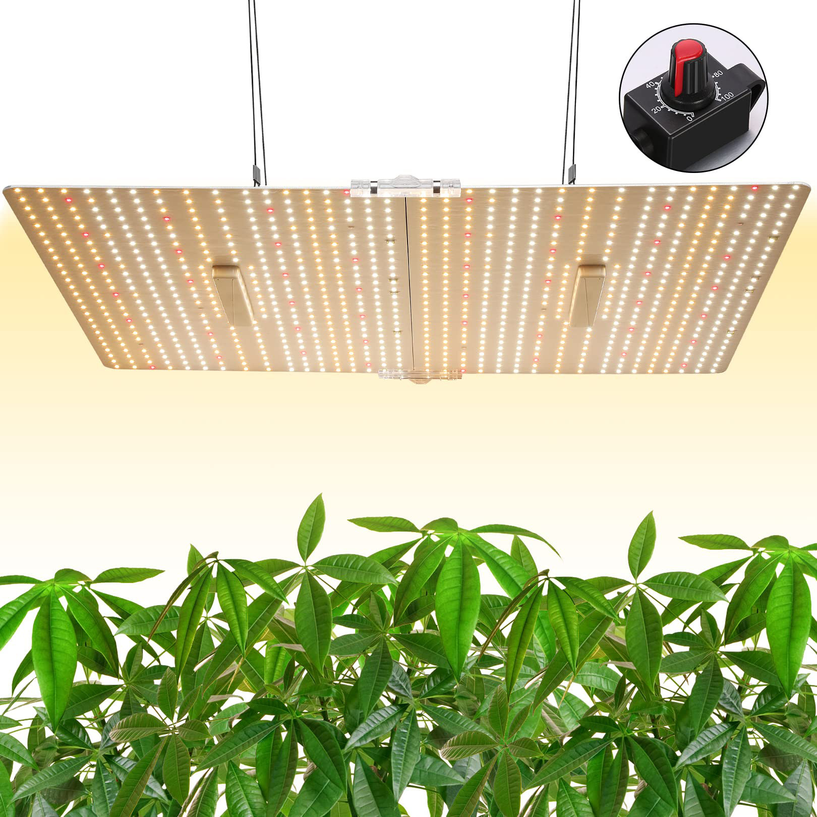 Himimi Full Spectrum LG-3200 LED Grow Light with 754pcs Diodes for ...