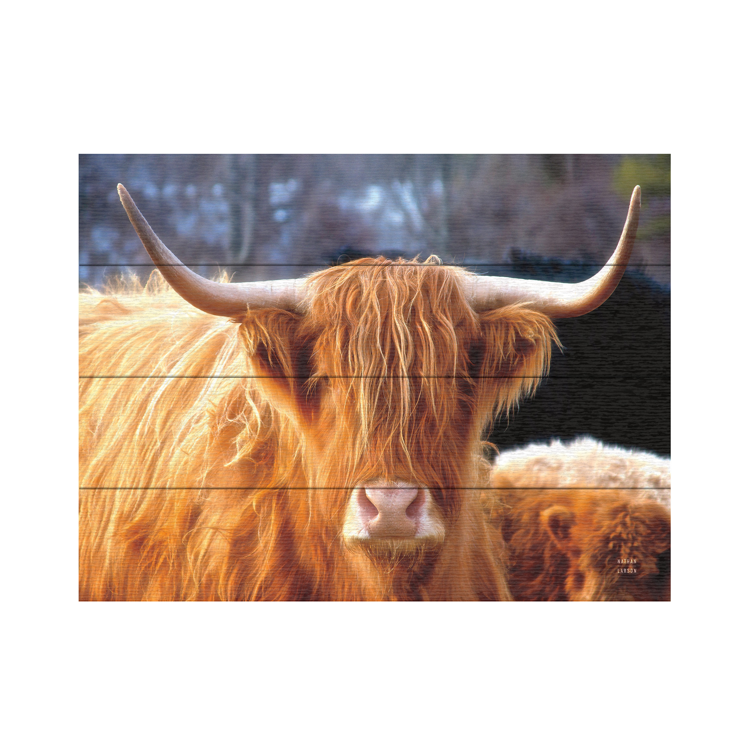 Union Rustic Nathan Larson Highland Cow Sunshine Wood Slat Art ...
