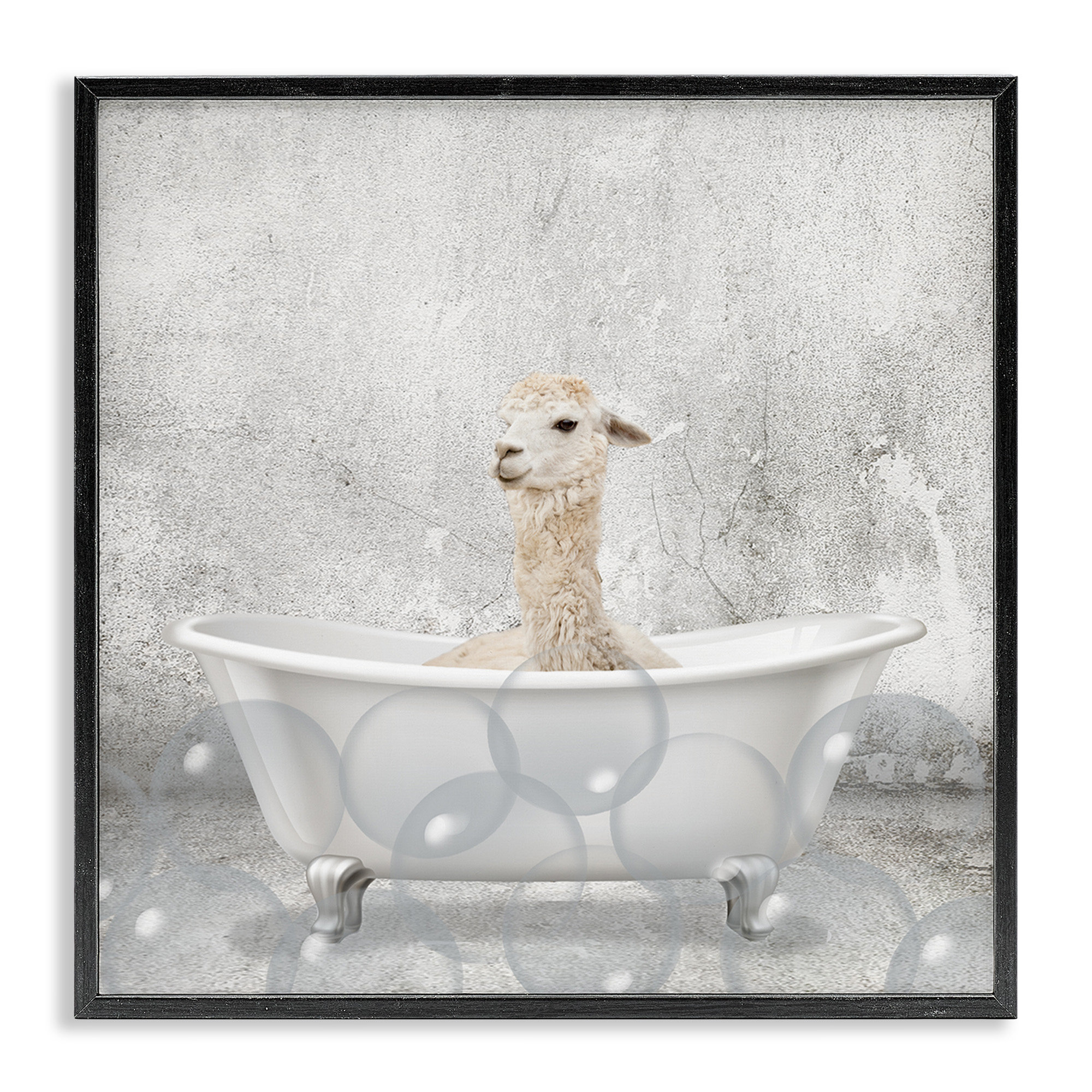 World Menagerie Baby Llama Bath Time - Graphic Art Print | Wayfair