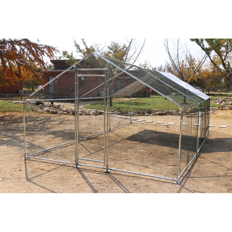 Tucker Murphy Pet™ Crellen Metal Chicken Run Coop, Walk-in Poultry Cage ...
