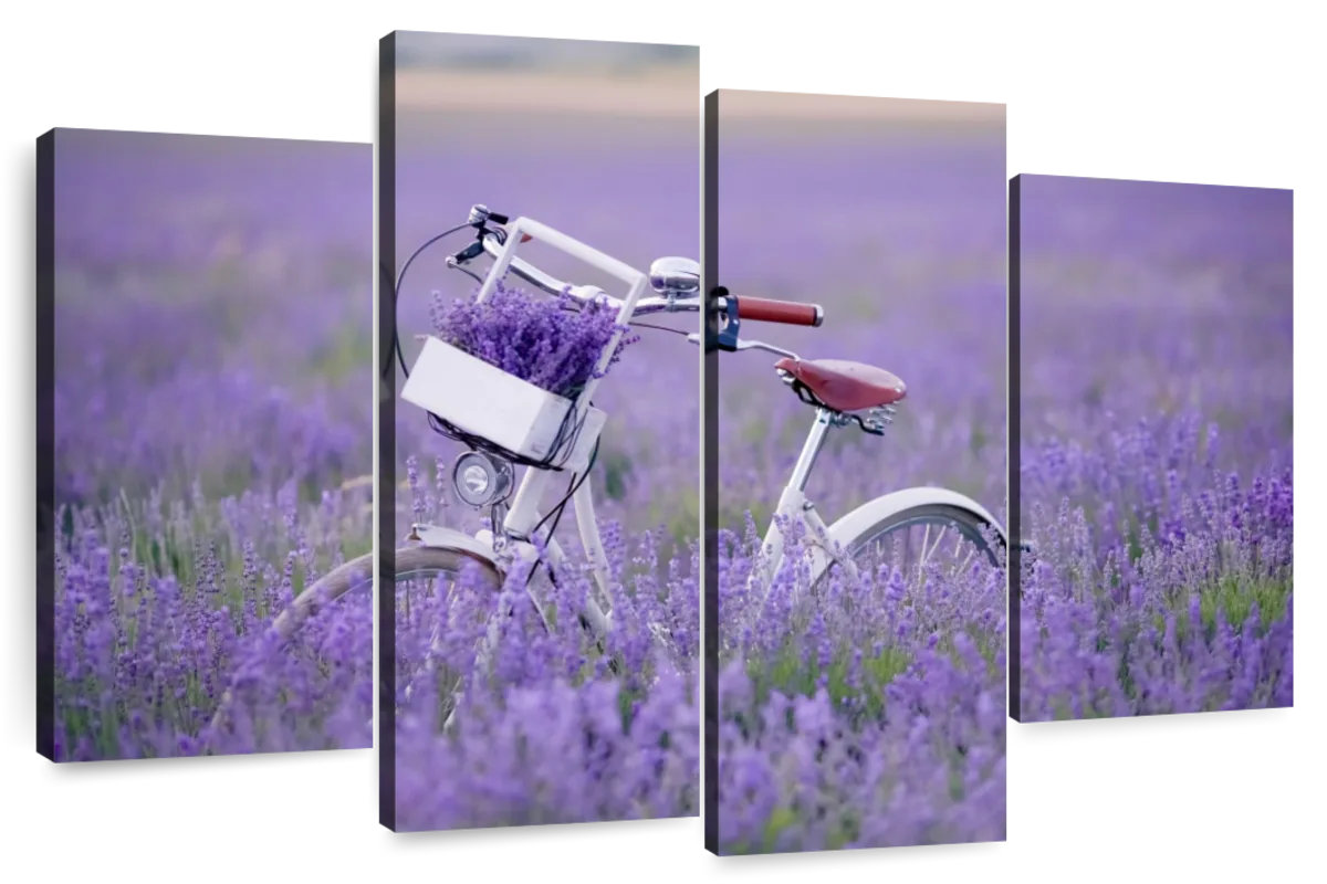 Ebern Designs Mehar Bike in Lavender Field | Wayfair