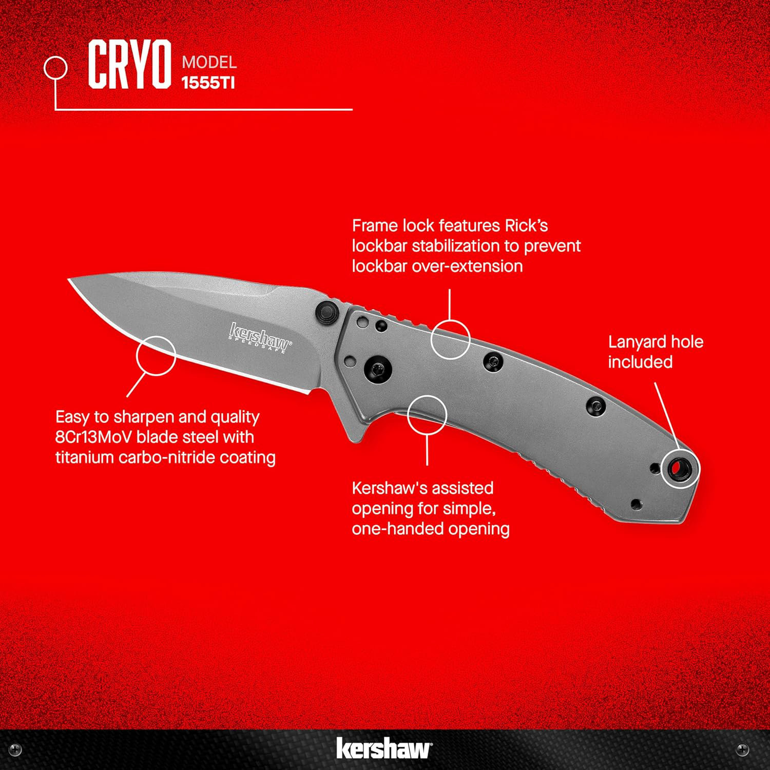 Kershaw Cryo Knife - Wayfair Canada