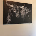 Bless international " Brindle Rodeo Bull " by Julie T. Chapman on ...