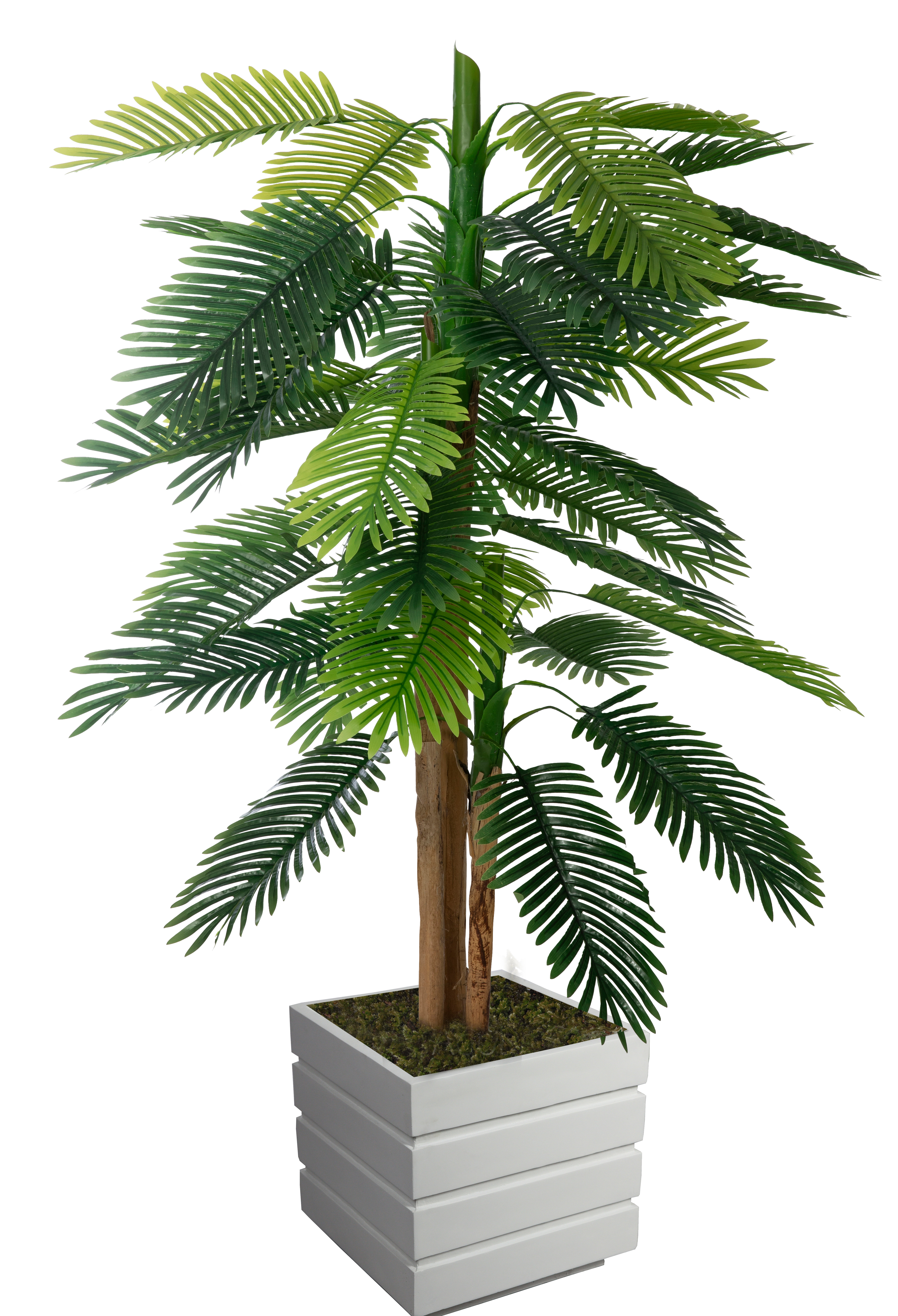 Vintage Home Aislin 50" Artificial Palm Tree in Planter & Reviews ...