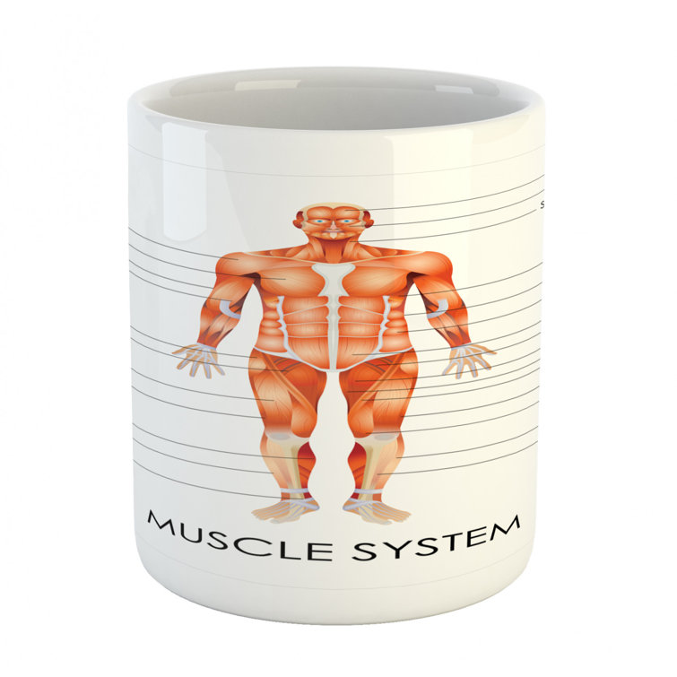 Bless international Human Anatomy Coffee Mug - Wayfair Canada