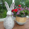 Design Toscano Big Burly Bunny Rabbit 2 Piece Statue Set & Reviews ...