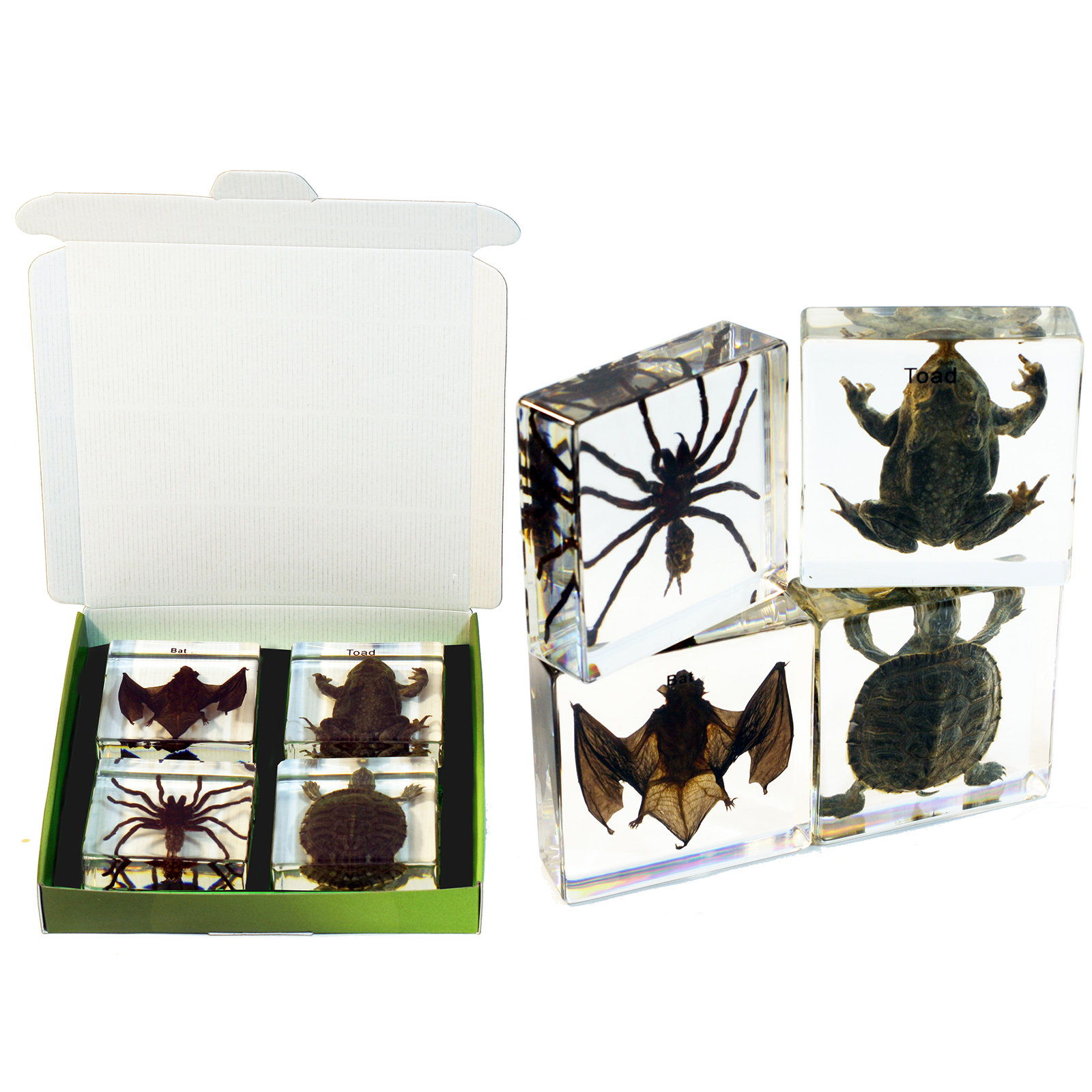 Rosalind Wheeler Pyatt 4 Piece Real Cool Bugs Deskdecoration Set | Wayfair