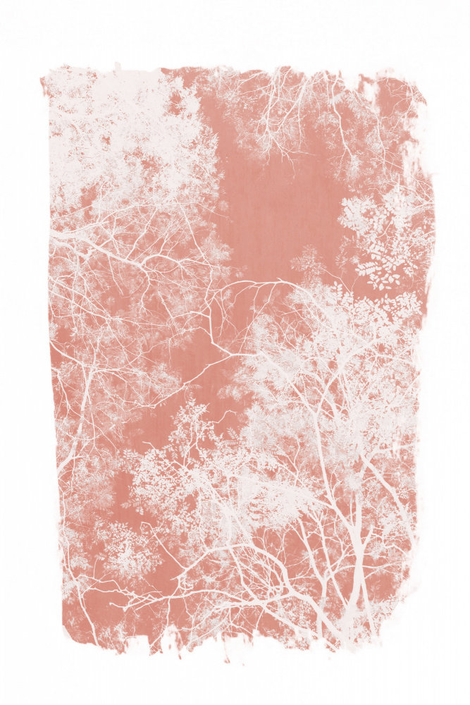 Mikado Living Pink Tree Foliage Silhouette | Wayfair.co.uk