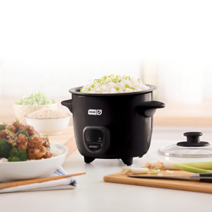 Dash 2 Cup Mini Rice Cooker & Reviews | Wayfair
