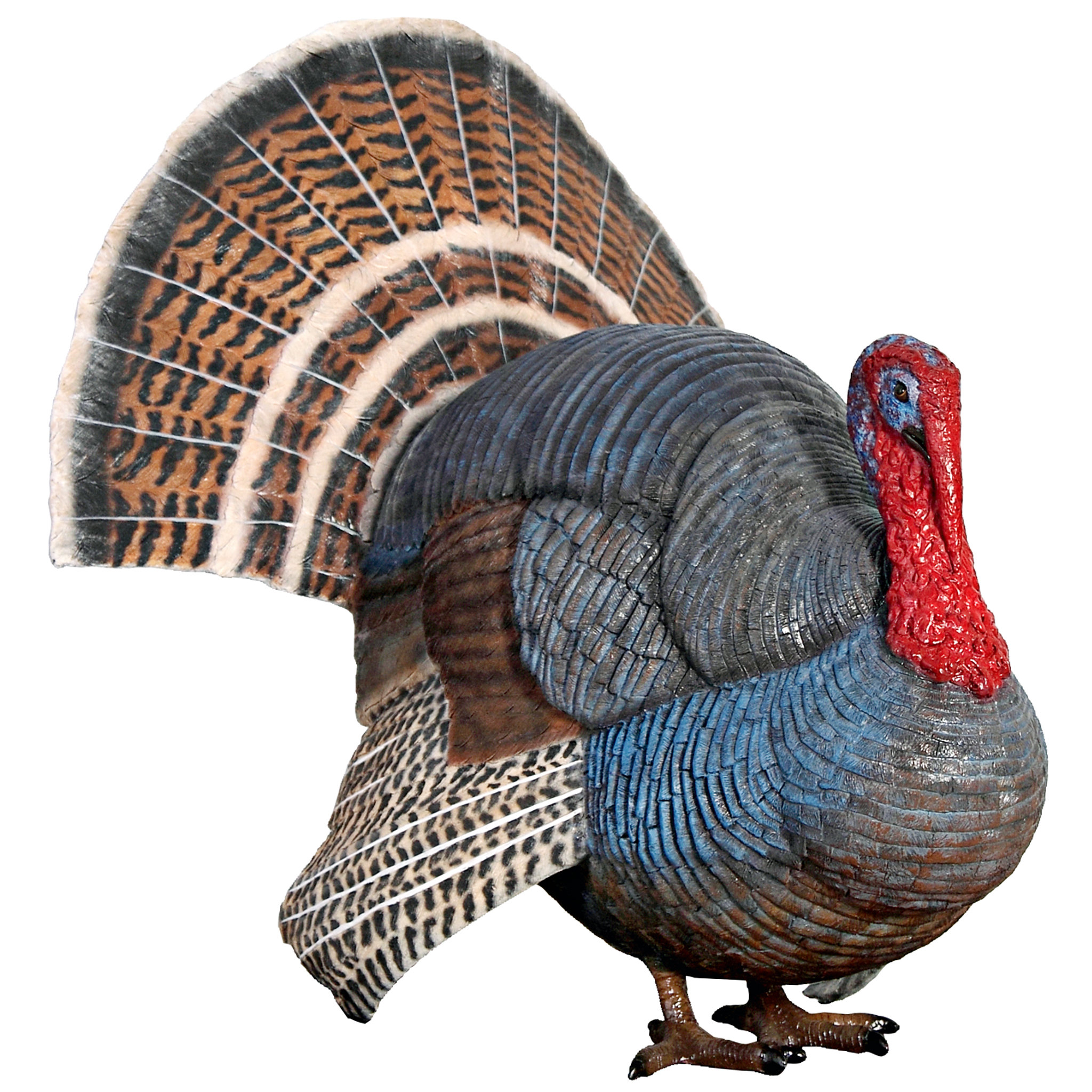 Design Toscano Wild Tom Turkey Grand Scale Animal Statue | Wayfair