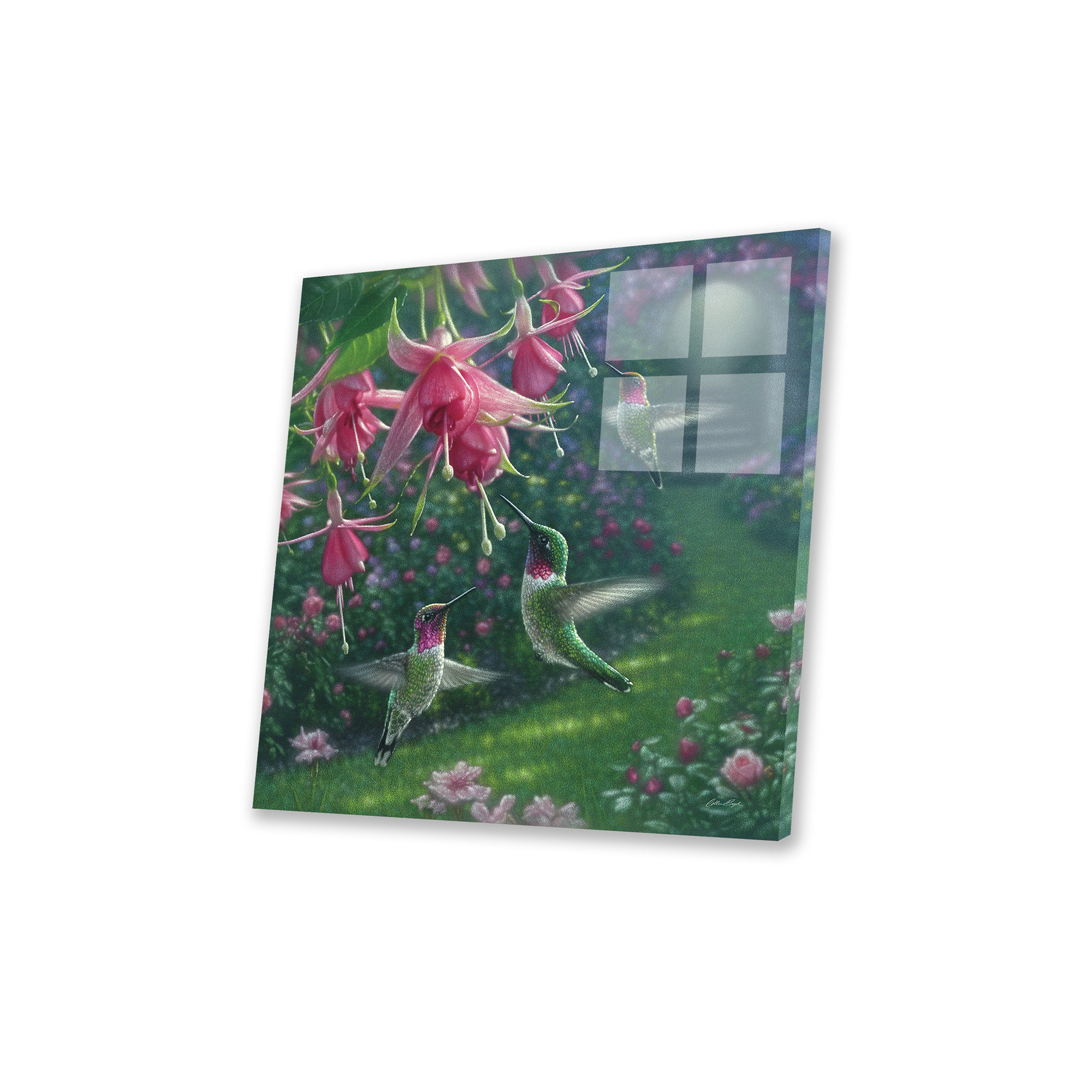 Winston Porter Hummingbird Haven, Square On Plastic/Acrylic by Collin ...