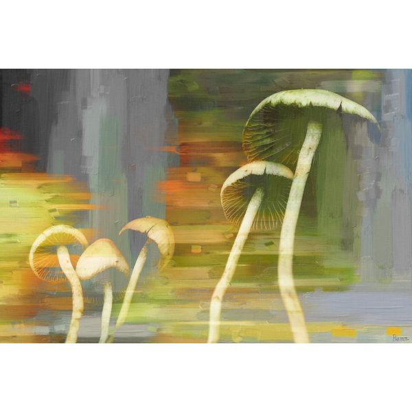ParvezTaj 'Fungi' by Parvez Taj Print on Wrapped Canvas - Wayfair Canada
